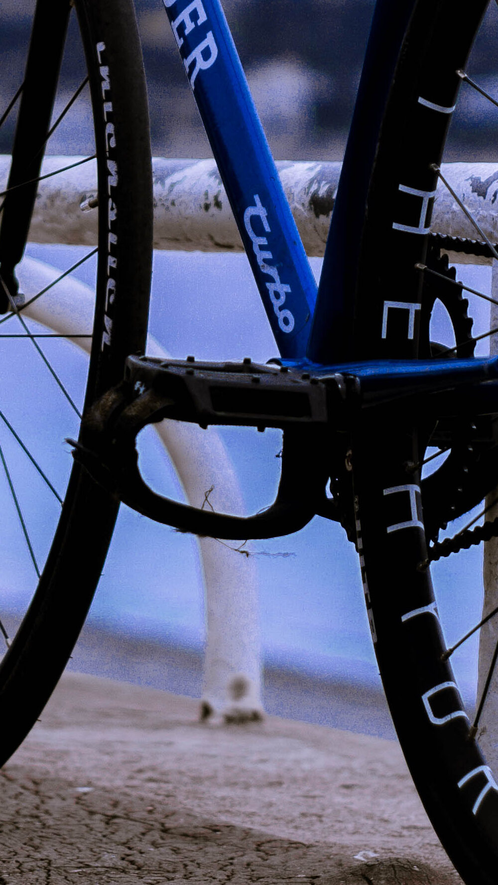 How to skid on a fixed gear bike – El Fakijoe